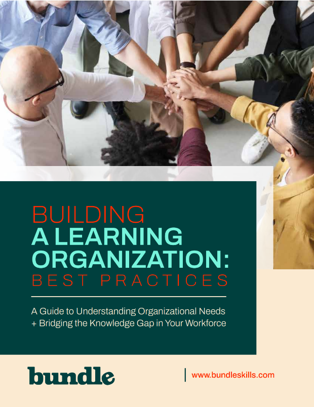 Building A Learning Organization Guide Bundle